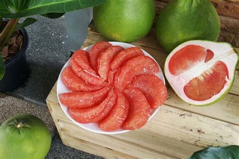 জাম্বুরার পুষ্টিগুণ ও উপকারিতা