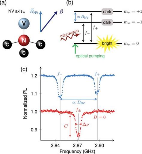 Tsar Single Spin Magnetometry And Relaxometry Applied To