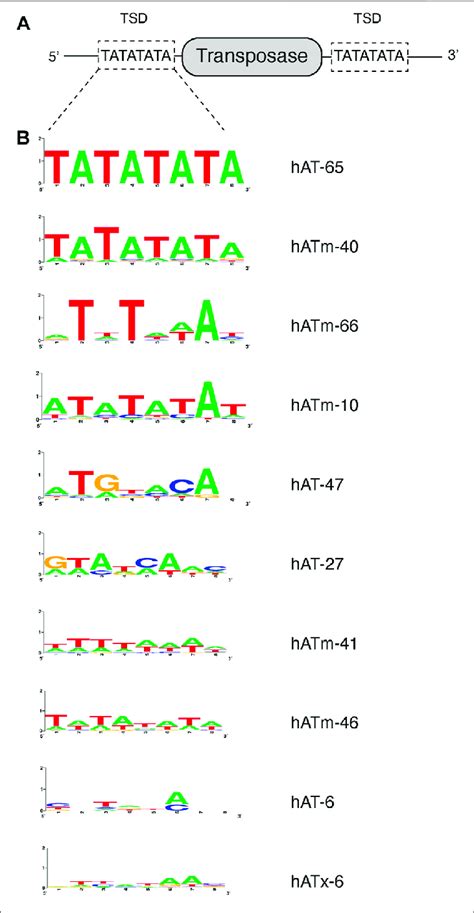 Predicted Target Site Preference Of Transposable Elements A Download Scientific Diagram