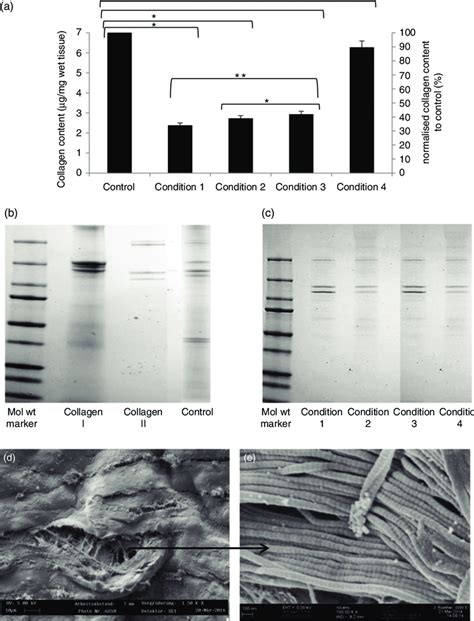 A Collagen Quantification And Analysis Results Are Reported As Ug Of