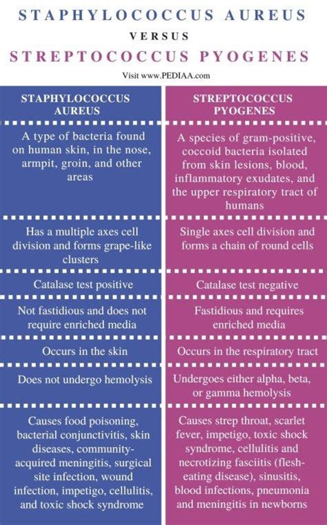 Best 12 What Is The Difference Between Staphylococcus Aureus And