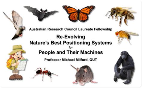 Projects Qut Centre For Robotics