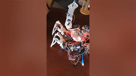 🤖💻 Programador Robotica Tech Viral Parati Youtube