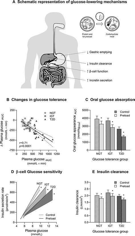 Frontiers Impact Of Nutrient Type And Sequence On Glucose Tolerance