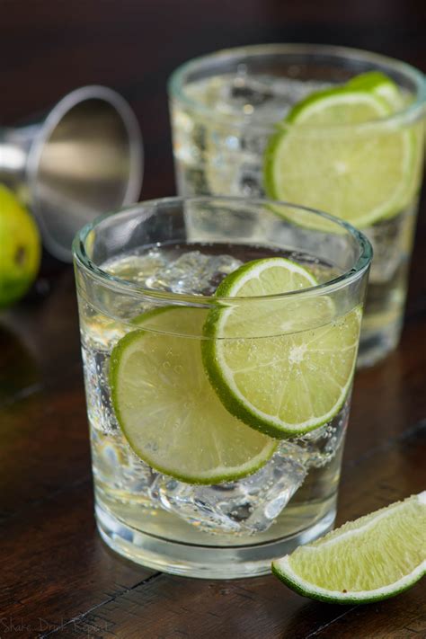 Theperfectginandtonicrecipeimage Shake Drink Repeat