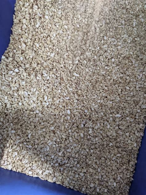 Broken Cashew Nut Kernel At Kg Broken Cashew In Srikakulam ID