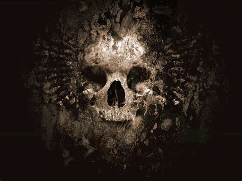 Skull Wallpaper Skulls Wallpaper 8359631 Fanpop