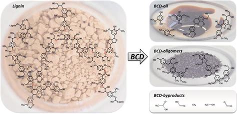 Base Catalyzed Depolymerization Of Lignin History Challenges And
