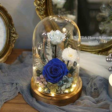 시들지않는꽃 Preserved Flower Umtda 수원 프리저브드플라워 전문공방 움트다