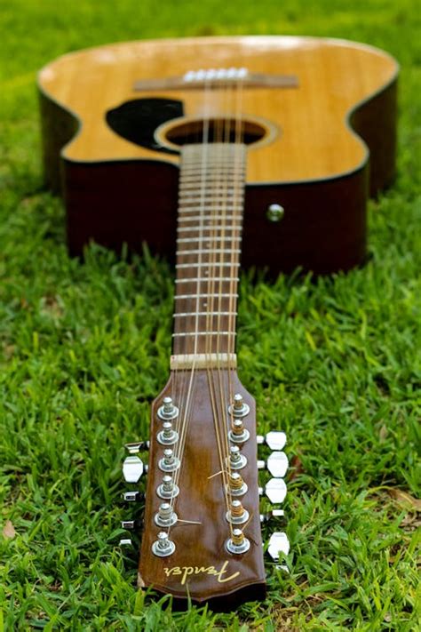12 현 기타 고요한 고요함 공연 기타 기타 연주 기타 현 끈 나무 기타 녹지 레크리에이션 마당 멜로디