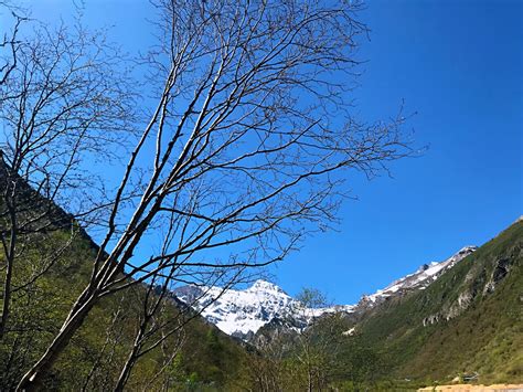 2023雪宝鼎游玩攻略 是藏族苯波教七大神山之一 去哪儿攻略