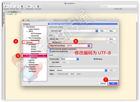 解决 Securecrt 和 Securefx 中文乱码scrfx改utf 8 Csdn博客