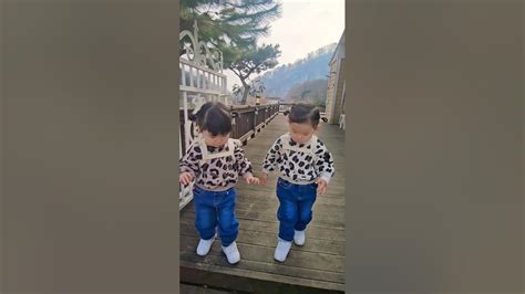 이란성쌍둥이 딸쌍둥이 시험관쌍둥이 Youtube