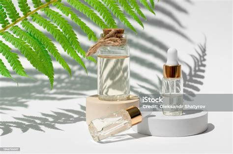 천연 화장품 스킨 케어 고사리 가지와 그림자가 있는 흰색 배경에 투명한 병에 담긴 에센셜 오일은 공간을 복사합니다 개념에 대한 스톡 사진 및 기타 이미지 Istock