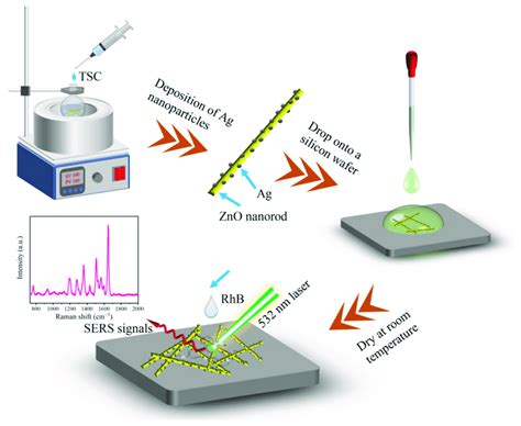 The Preparation Of The Sers Substrate And Sers Detection Process Download Scientific Diagram