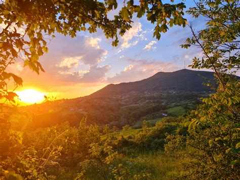 Музичка школа Божидар Трудић На данашњи дан 31 марта 1732