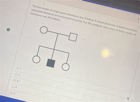 Solved The Five Modes Of Single Gene Inheritance Are