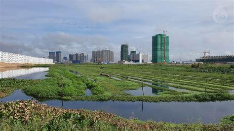 ពលរដ្ឋ អាស្រ័យ ផល លើ បឹង ទំពុន ព្រួយ បារម្ម ពីរ ការ បាត់ បង់ មុខរបរ ពលរដ្ឋ ប្រកប របរ បេះដាំ