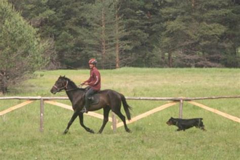 Конна база ПланаКон Опознай Bg