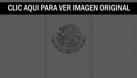¿cómo Dibujar La Bandera De México Bandera De México