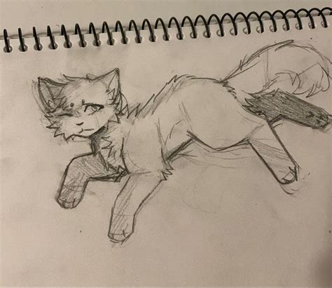Cats Art Drawing Warrior Cat Drawings Cat Drawing Tutorial