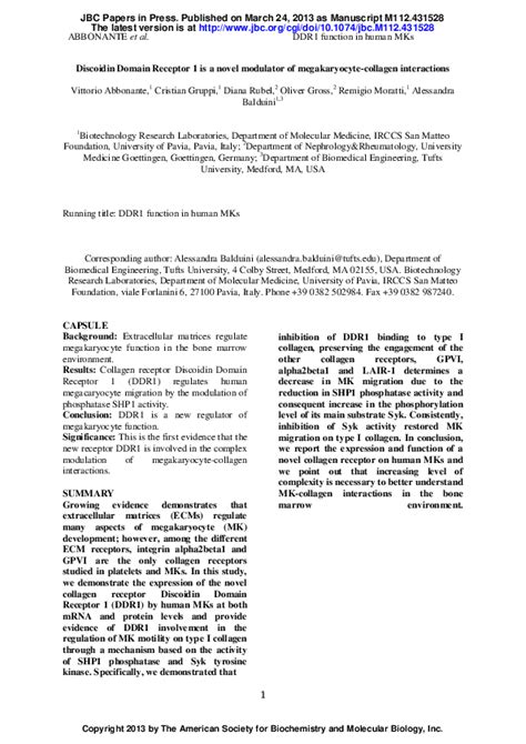 Pdf Discoidin Domain Receptor 1 Protein Is A Novel Modulator Of Megakaryocyte Collagen