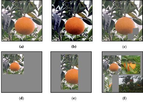 Table 1 From A Multiscale Lightweight And Efficient Model Based On