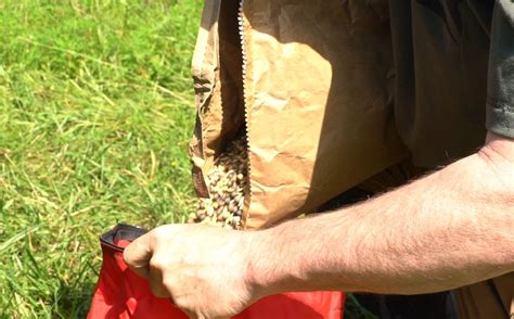 2 Easy No Till Food Plot Methods Whitetail Habitat Solutions