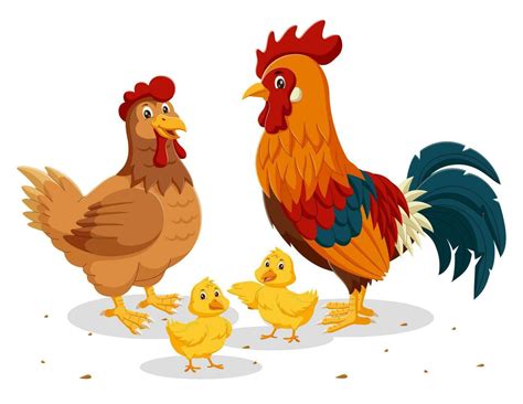 Illustration Of Rooster Chicken And Chicks Vector Illustration