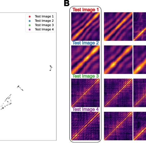 A Shows The Umap Visualization Of The Latent Space Point Colors