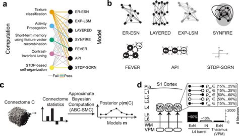 Relationship Between Models And Possible Computations In Cortical