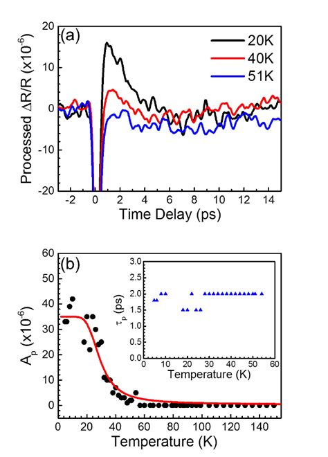 A The Processed Time Resolved Optical Reflectivity Without Phonon