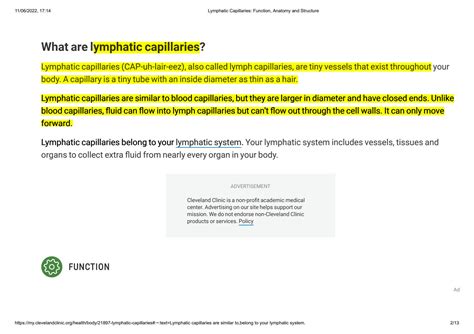 Solution Lymphatic Capillaries Function Anatomy And Structure Studypool