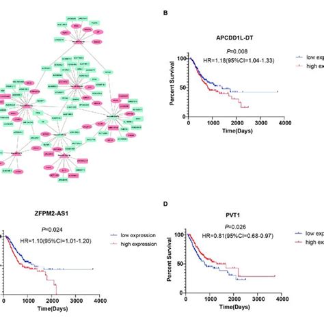 Survival Related Competing Endogenous Rna Cerna Network And