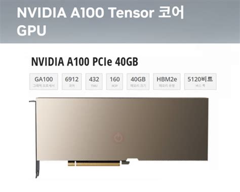 인팍쇼핑 Nvidia Tesla A100 40gb Tensor Core Gpu Pc부품 주변기기