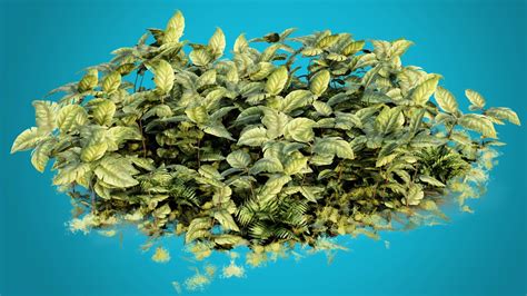 Blender 4 Jungle Terrain Geometry Flippednormals