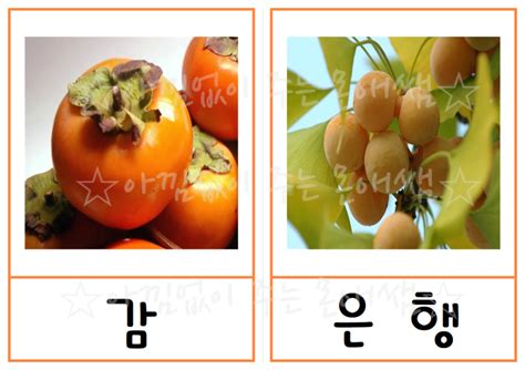 가을 벽면게시자료 가을에 수확하는 열매 네이버 블로그