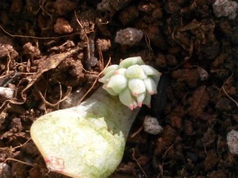 静夜 高清图片，堆糖，美图壁纸兴趣社区