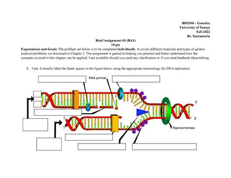 BIO200 BA3 Fall2022 BRIEF ASSIGNMENT BIO 200 Studocu