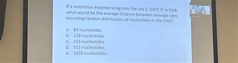 Solved If A Restriction Enzyme Recognizes The Site GATC Chegg