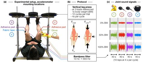 Experiment Overview A Four Accelerometers Were Placed At Regions Of
