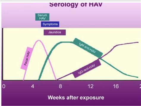 Cms 2 Lecture 6 Part 2 Flashcards Quizlet