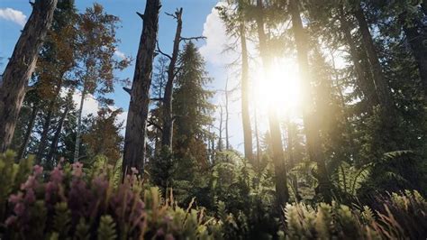 How To Avoid And Get Rid Of Radiation In Rust Game Voyagers