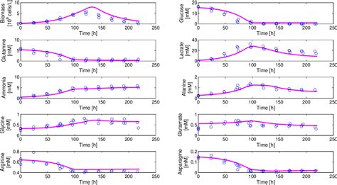Figure 6 From Dynamic Metabolic Models Of Cho Cell Cultures Through Minimal Sets Of Elementary