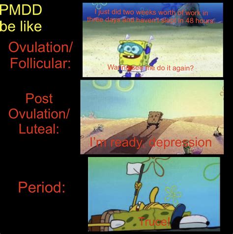 Ovulation Day Memes