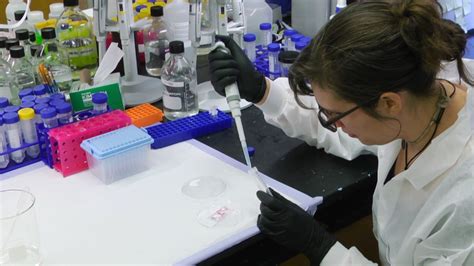 Nanoscopic Imaging Of Human Tissue Sections Via Physical And Isotropic