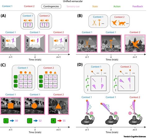 Contextual Inference In Learning And Memory Trends In Cognitive Sciences