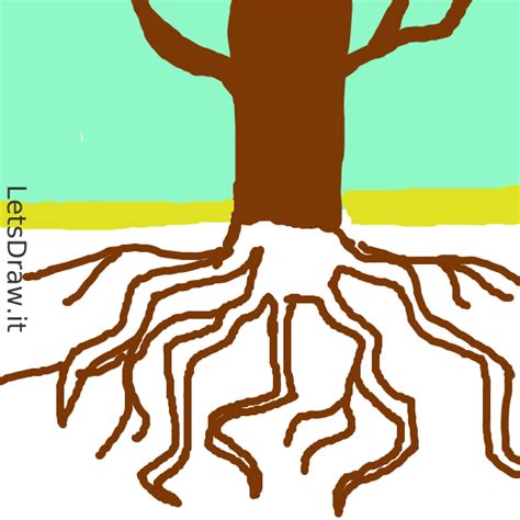 How To Draw Root 8e1htjmu1 Png Letsdrawit