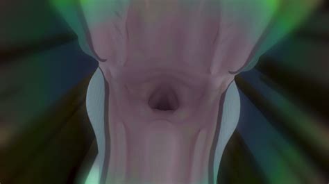 Snake Hypnosis And Vore Pov Thisvid Com